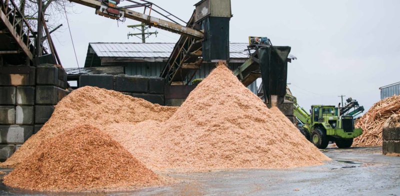 A Guide to Choosing the Right Wood Shavings for Your Needs