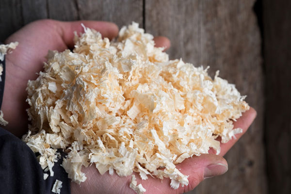 Premium Pine Shavings for Sales - Sawdust Horse Bedding | Klassen Wood Co.